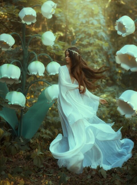 Master Mediums - Mastermedium Blog